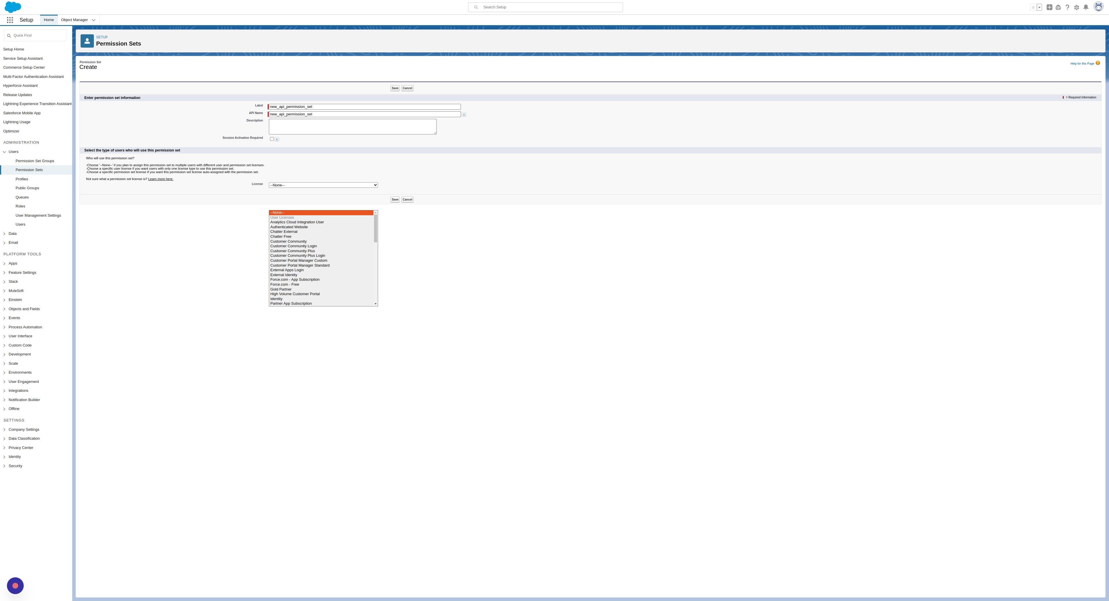 Salesforce permission set – Tekst