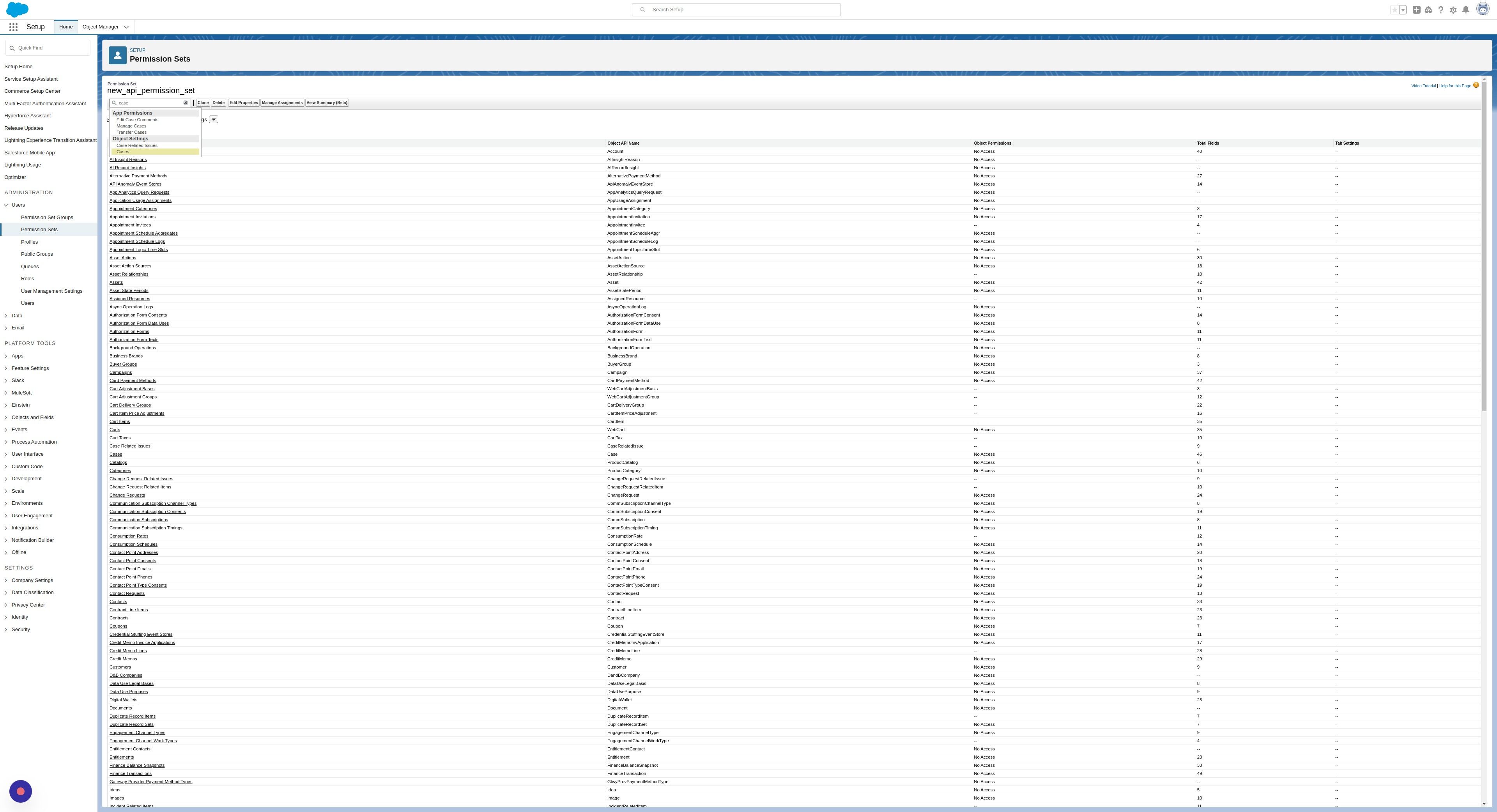 Salesforce permission set – Tekst