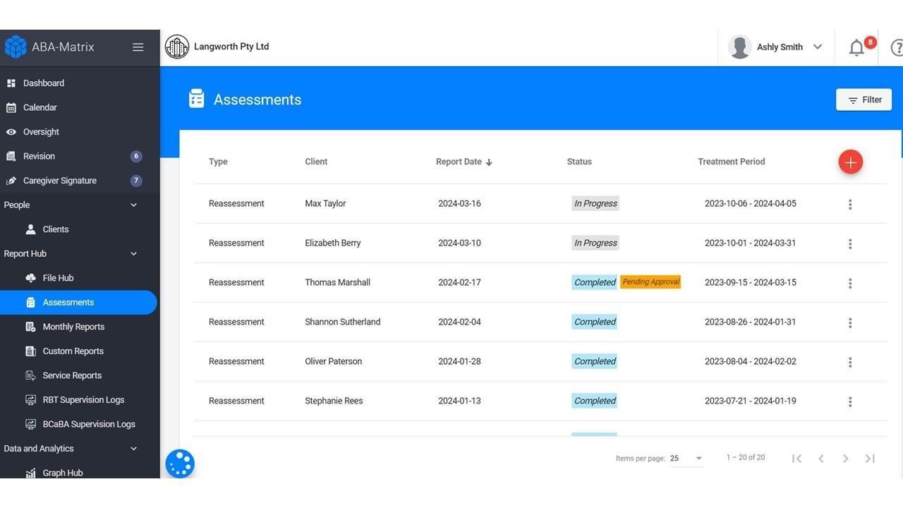 How does the ABA Matrix interface and workflow work (icons, statuses ...